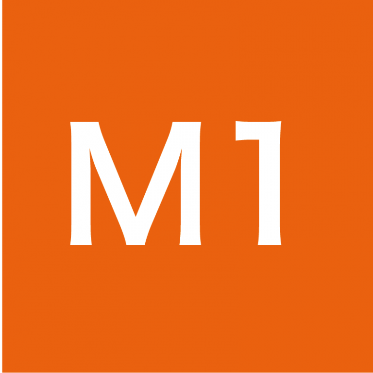 Level (MB-M1) description